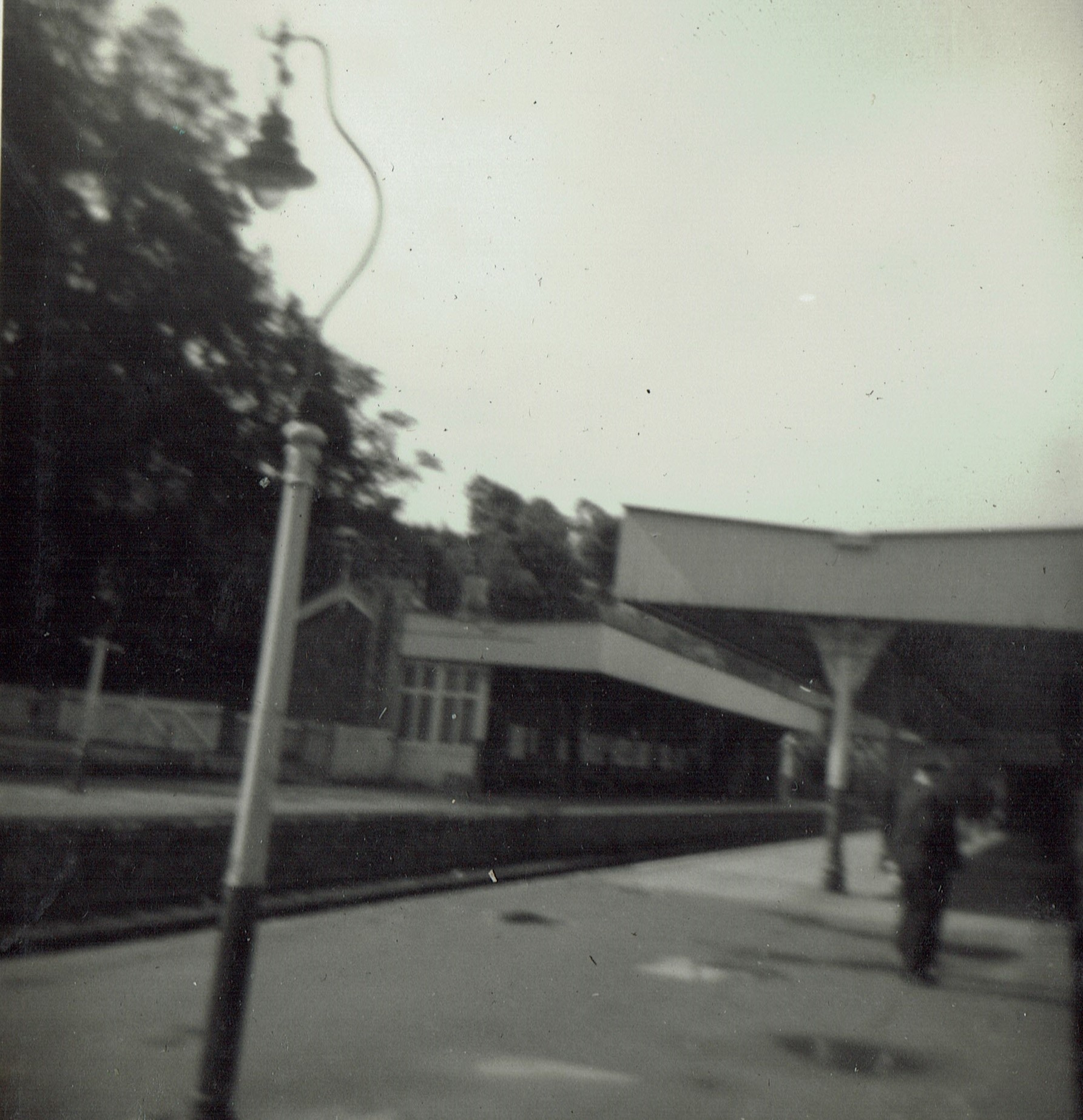 43 Exe Valley Branch | Scouting or Cyclo-Ramblings