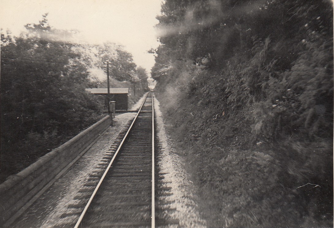 43 Exe Valley Branch | Scouting or Cyclo-Ramblings